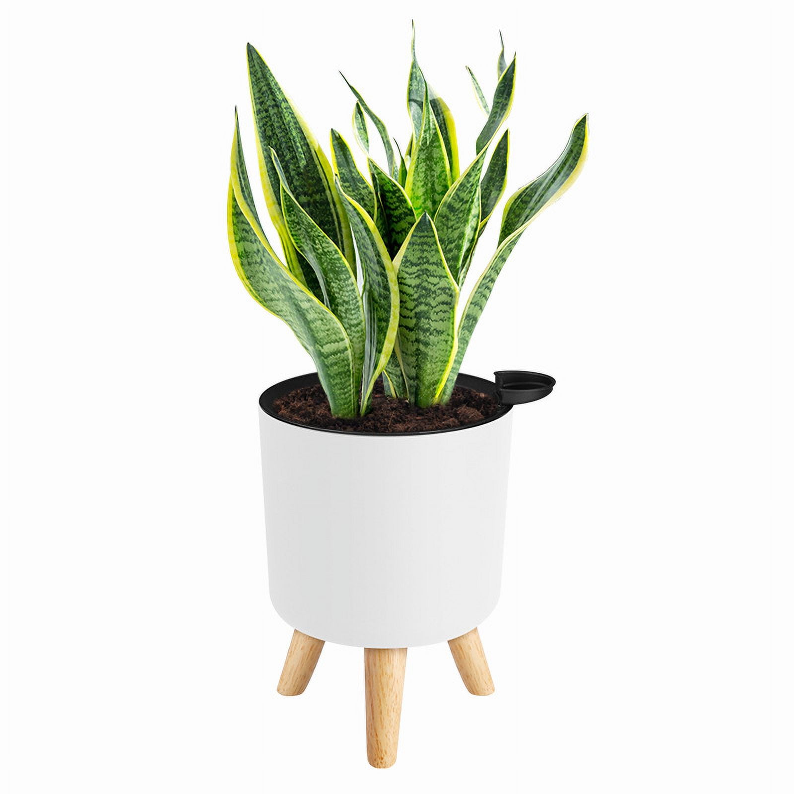 Lazy self-watering flower pot rental living room bedroom indoor round ...