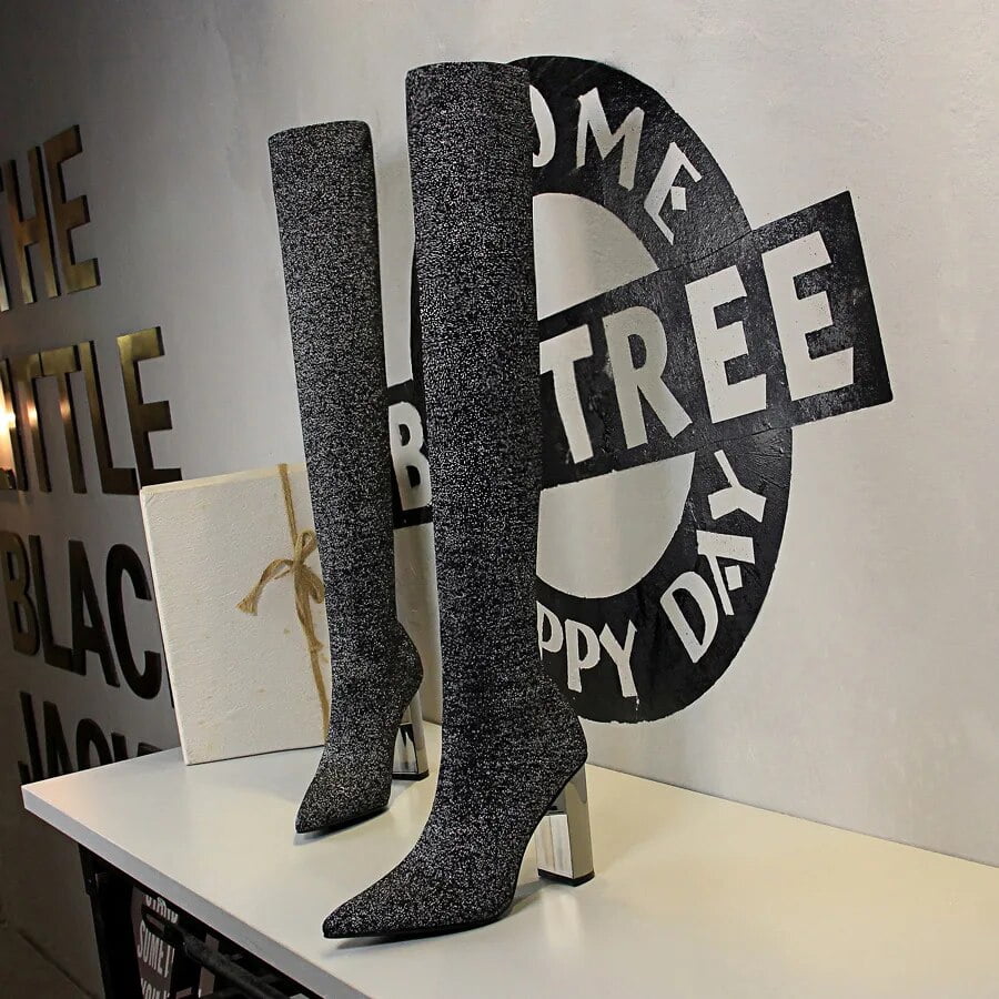 LazySeal Stretch Fabric Women's Winter High Boots Shoes Pointed Toe ...