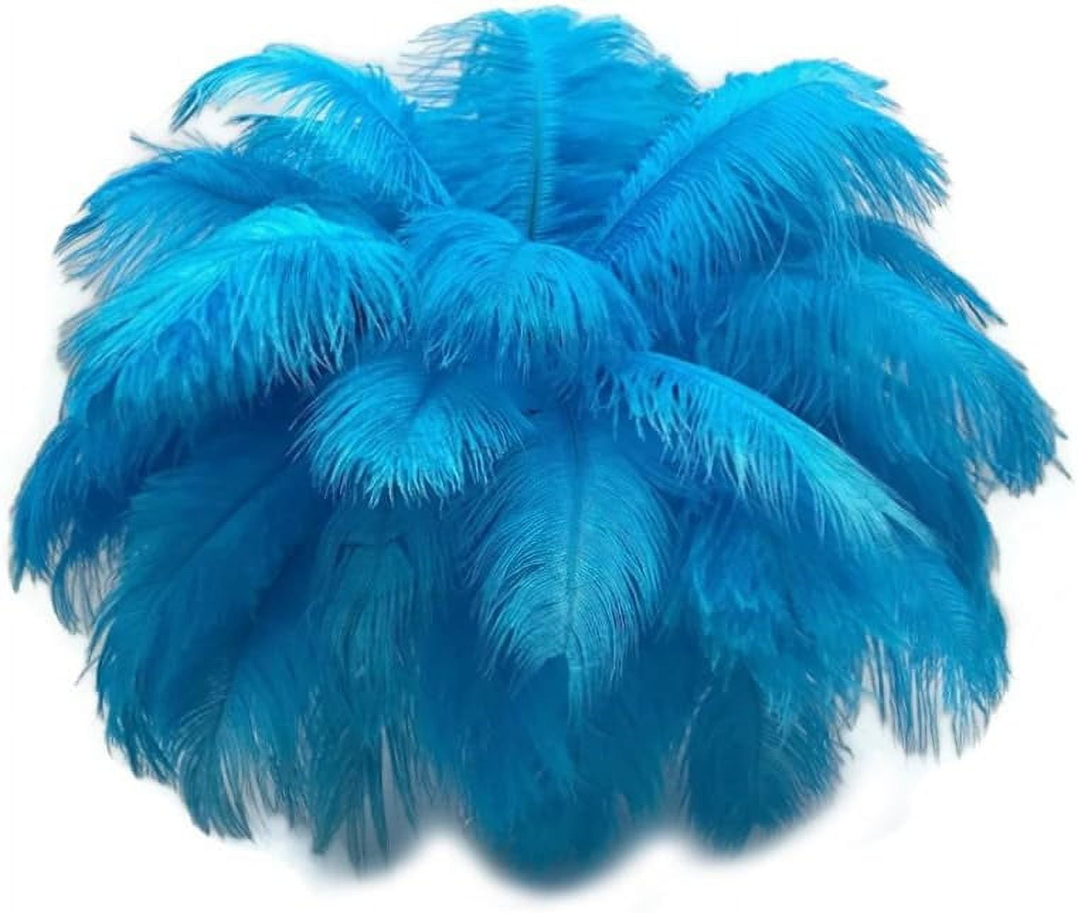 Lb - 17-19" Turquoise Blue Large Ostrich Drab s Wholesale (Bulk) Party ...