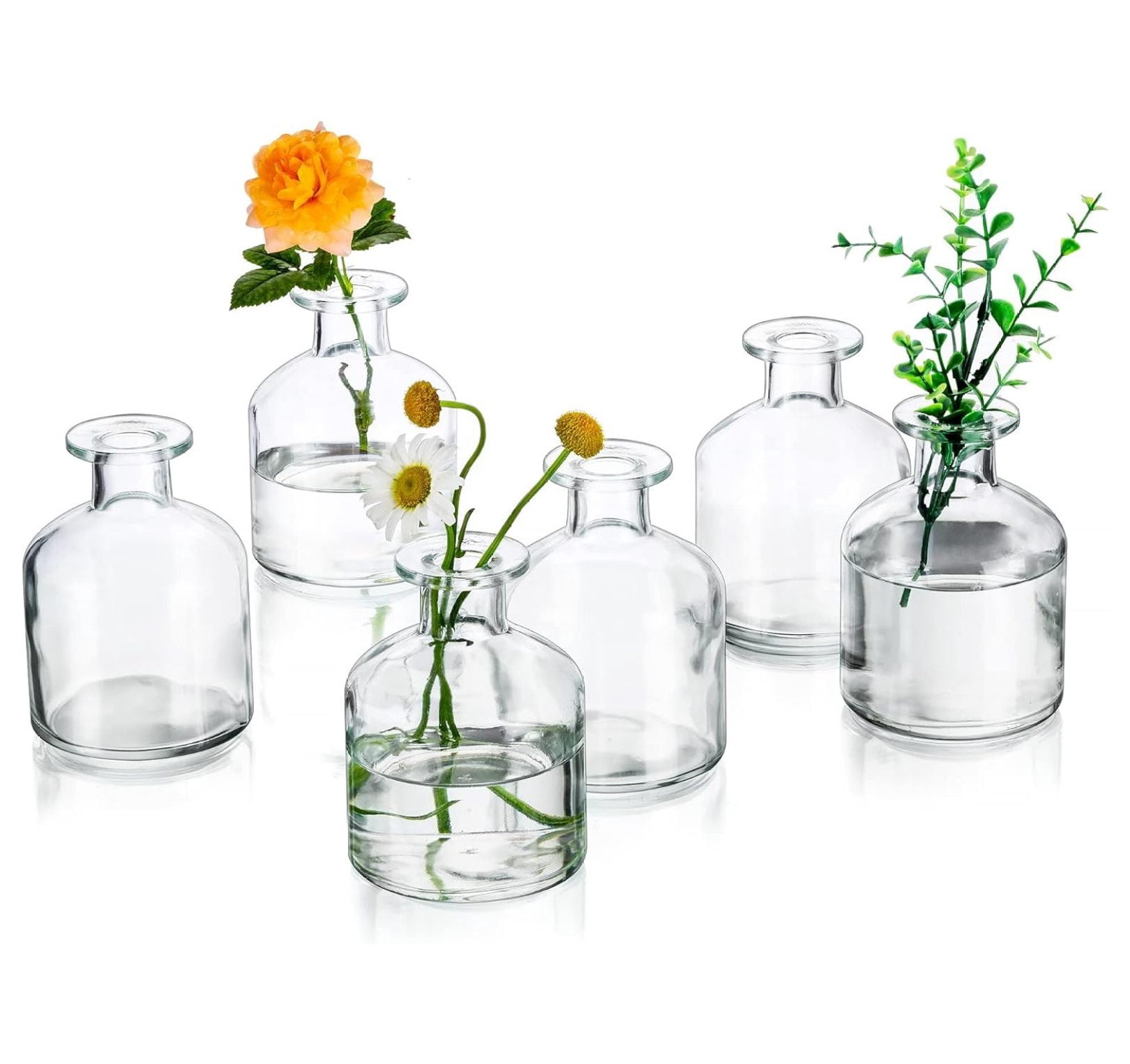 LcXctD Glass Small Bud Vases: Mini Clear Vase Set of 6 Minimalist ...