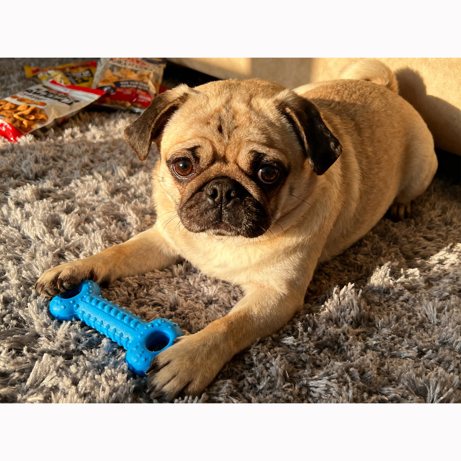 Lcdjbfbf Pug Hand embroidered Pattern,5D DIY Paint with crystal Crafts ...