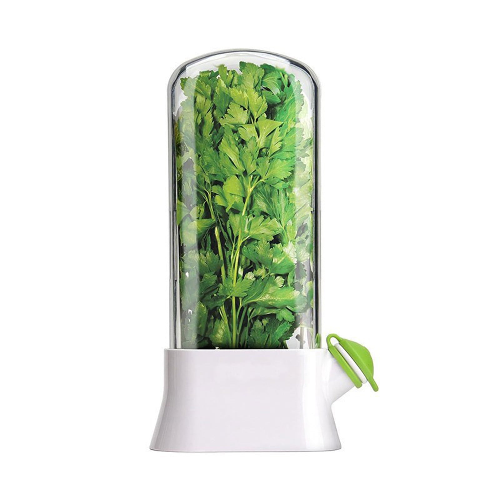 Lcxifdre 1-Pack Herb Saver for Refrigerator, Clear Food Grade Plastic ...