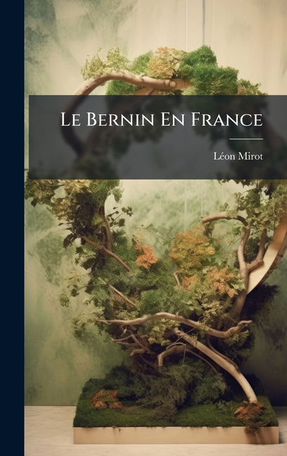 Le Bernin En France, (Hardcover) - Walmart.com