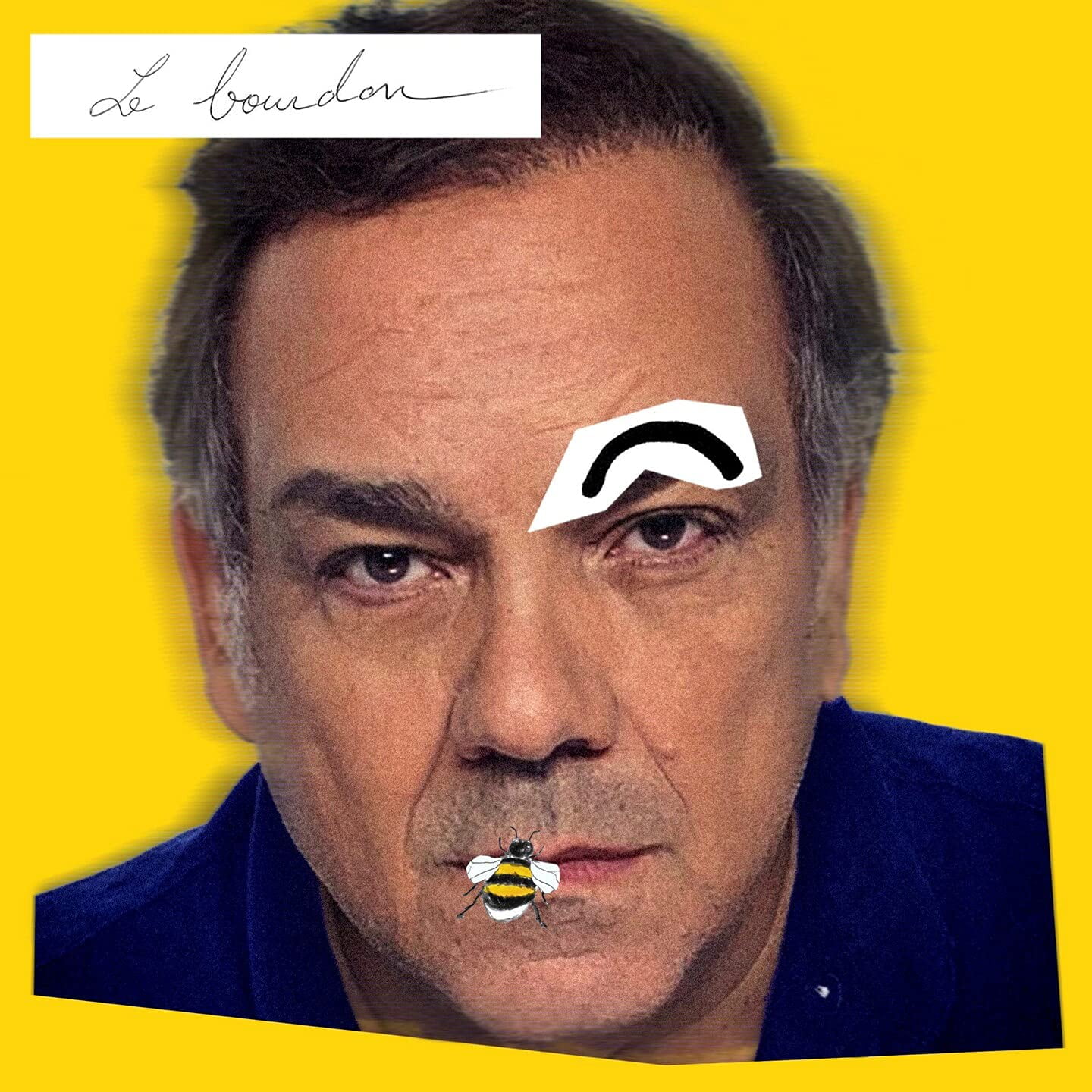 Didier Bourdon Le Bourdon (Vinyl Record) - Walmart.com