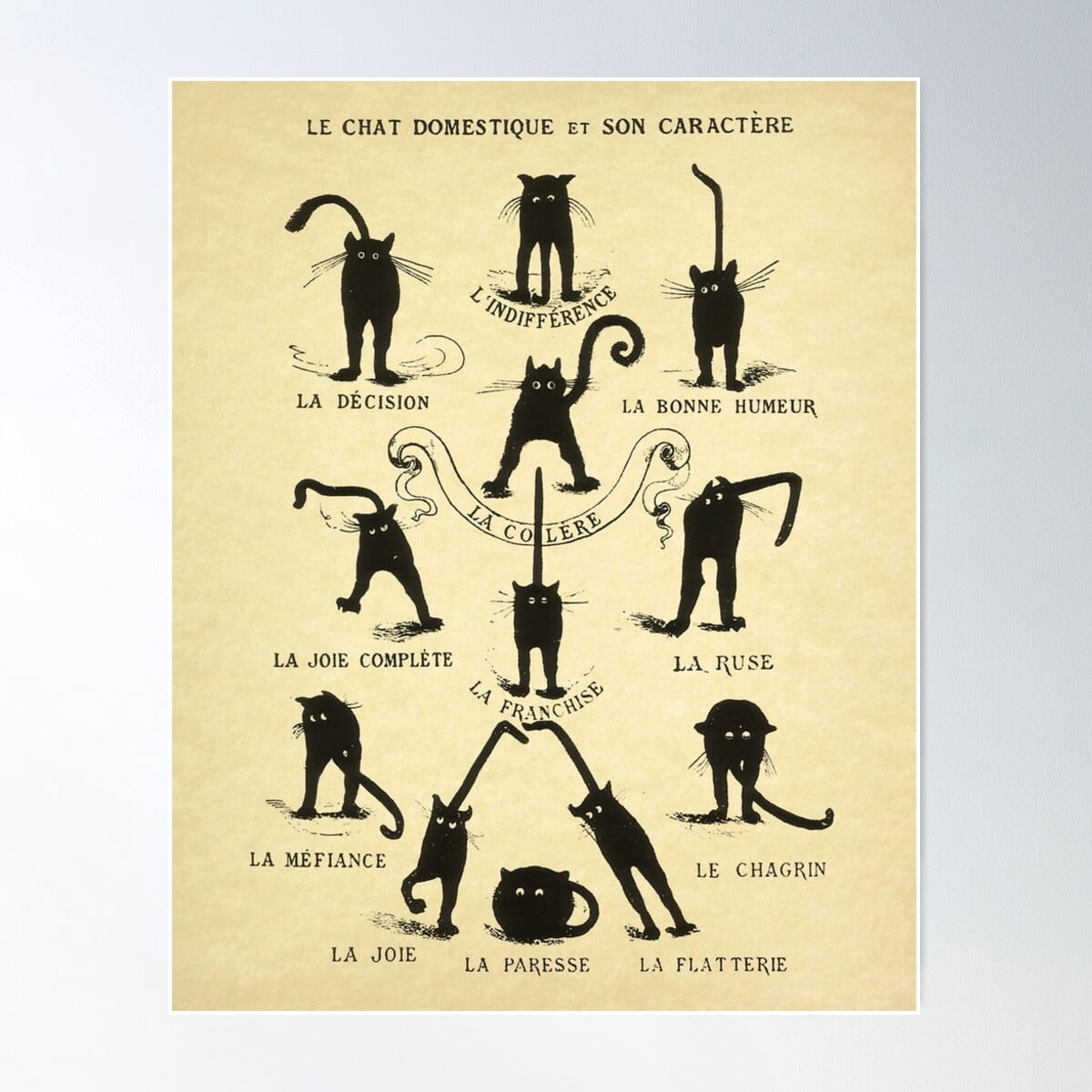 Le Chat Domestique Et Son Caractere Poster Wall Art, Modern Wall Decor ...