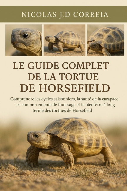Le Guide Complet de la Tortue de Horsefield: Comprendre les cycles ...