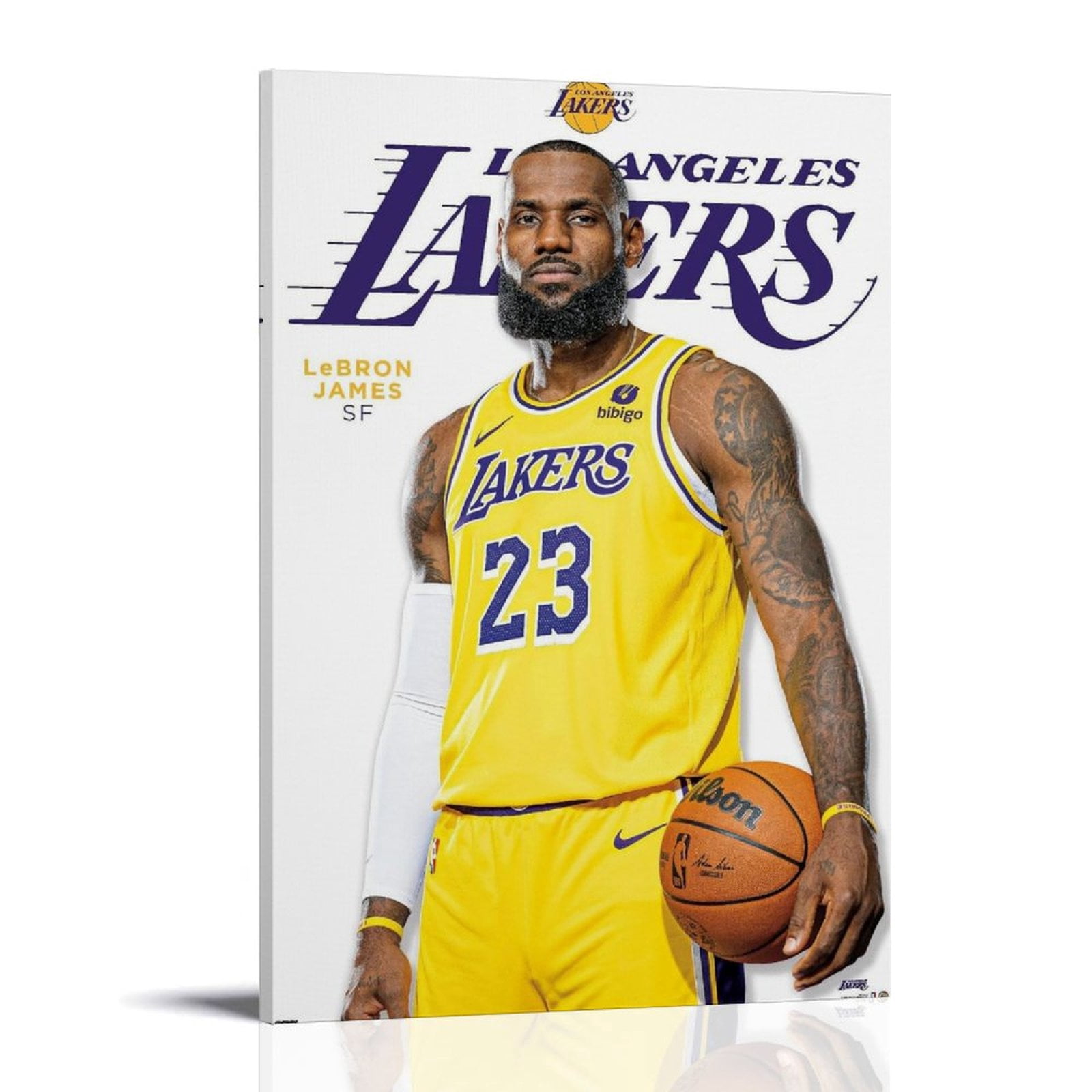 LeBron James Dunk Poster (15) Painting Vintage Poster Picture Print ...
