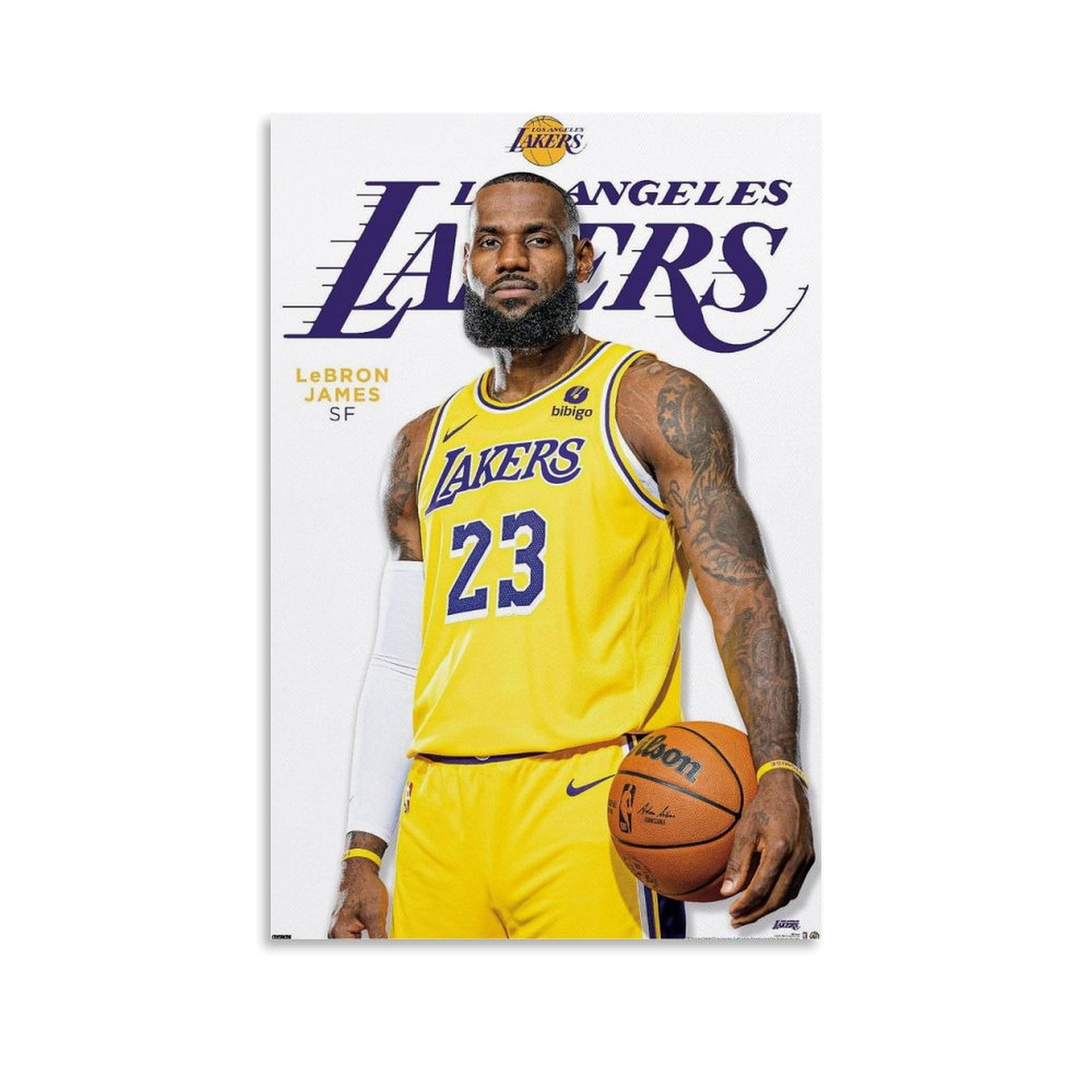 LeBron James Dunk Poster (15) Painting Vintage Poster Picture Print ...