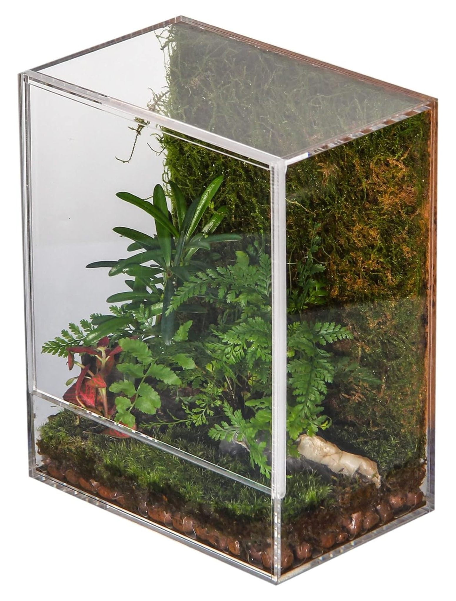 LeCeleBee Rectangle Closed Terrarium - 7.8x5.1x9.8 Inches - Clear DIY ...