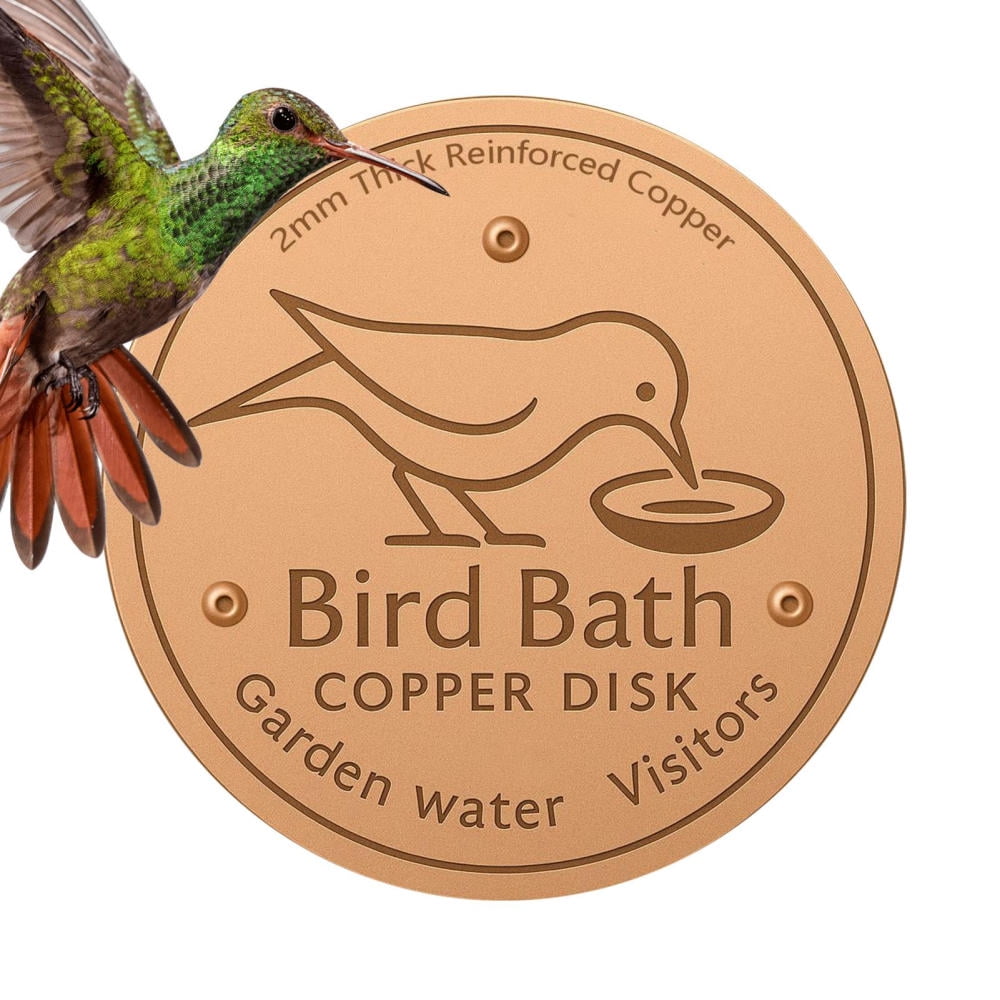 LeKing Copper Disk for Bird Bath Bath Disk Ornaments Feeder Accessories ...