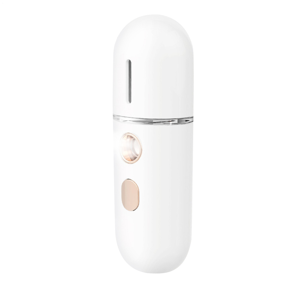 LeKing Face Mister Nano Mist Sprayer Portable Cool Sprayer for Face ...