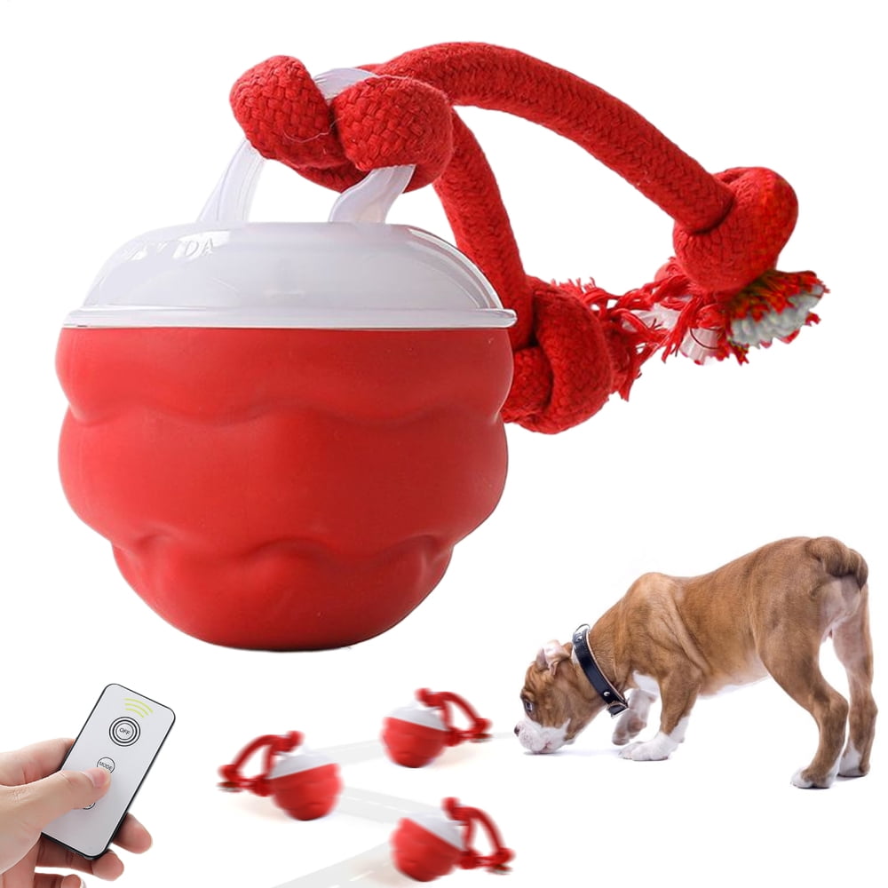 LeKing Rolling Ball Dog Toy Automatic Turning Dog Chasing Ball Quiet ...