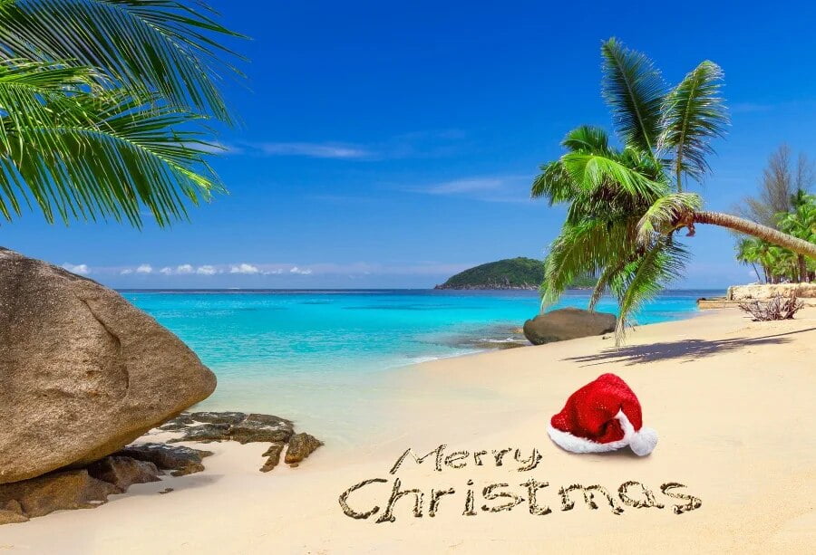 Leacco Tropical Beach Christmas Photo Backdrop Seaside Palm Tree ...