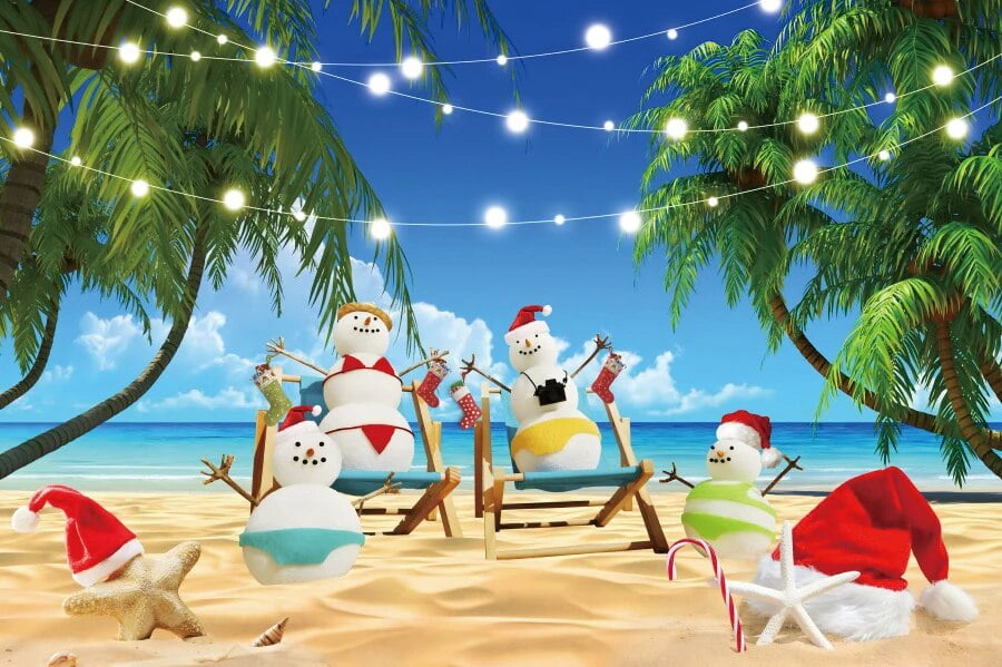 Leacco Tropical Beach Christmas Photo Backdrop Seaside Palm Tree ...