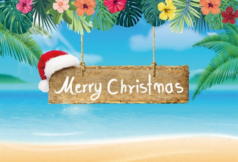 Leacco Tropical Beach Christmas Photo Backdrop Seaside Palm Tree ...