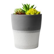 Mainstays Round Ultrasonic Cool Mist Humidifier with Aroma HU00-19054 ...