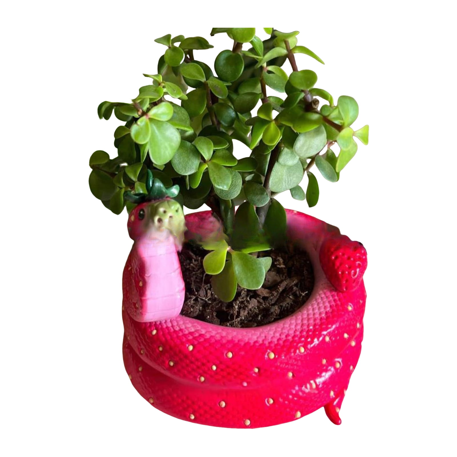 Leadrop Snake Flower Pot Resin Coiled Snake Planter with Drainage Hole ...