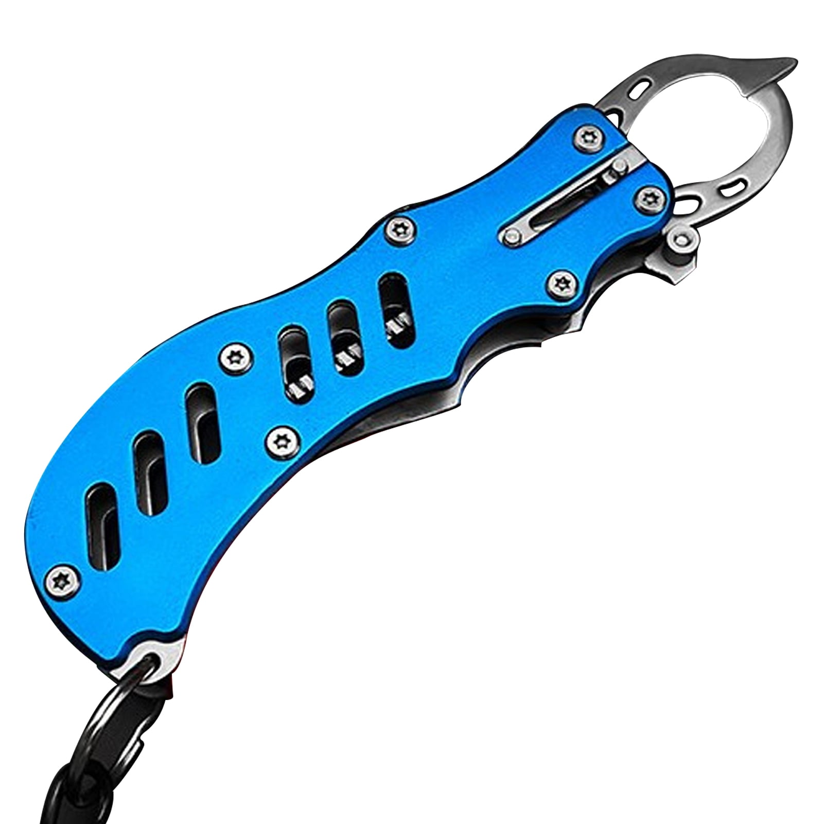 Leadrop Stainless Steel Fish Gripper Fish Mouth Lip Grabber with Ruler ...