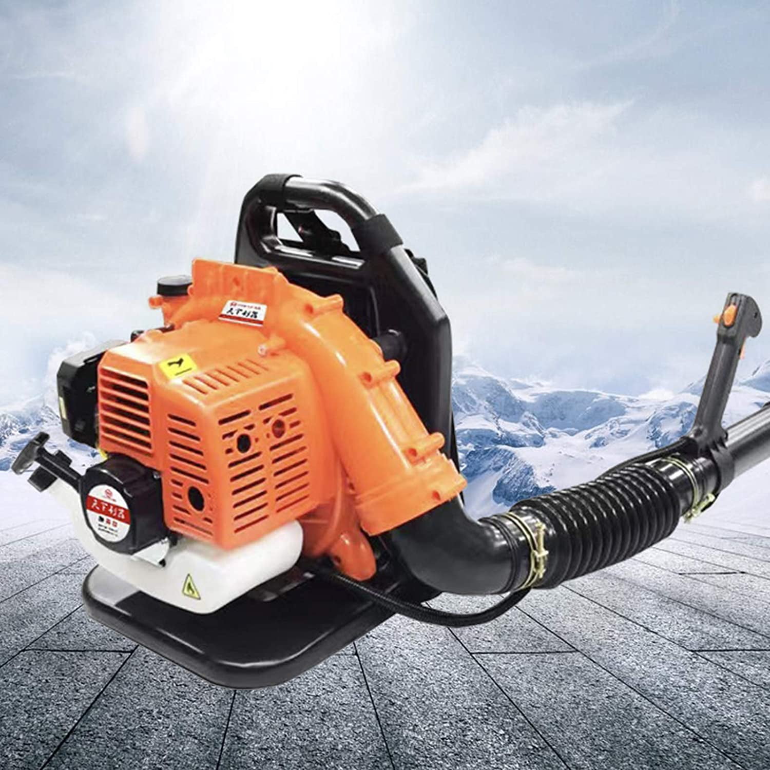 Leaf Blower Engine Gas Powered Backpack Air-Cooled Lawn Blower ...
