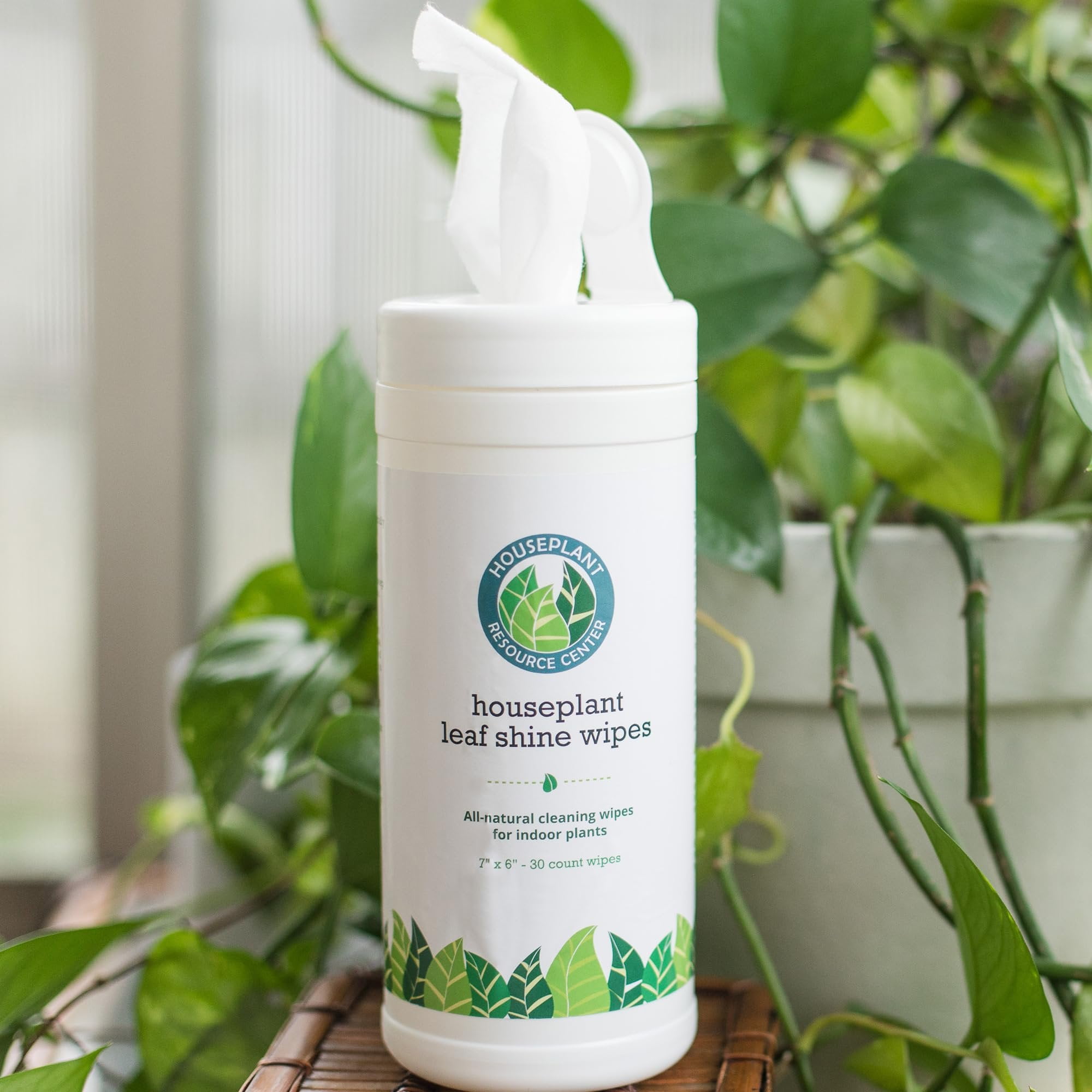 Leaf Cleaner Wipes for House Plants - Sparkling Leaf Shine for Indoor ...