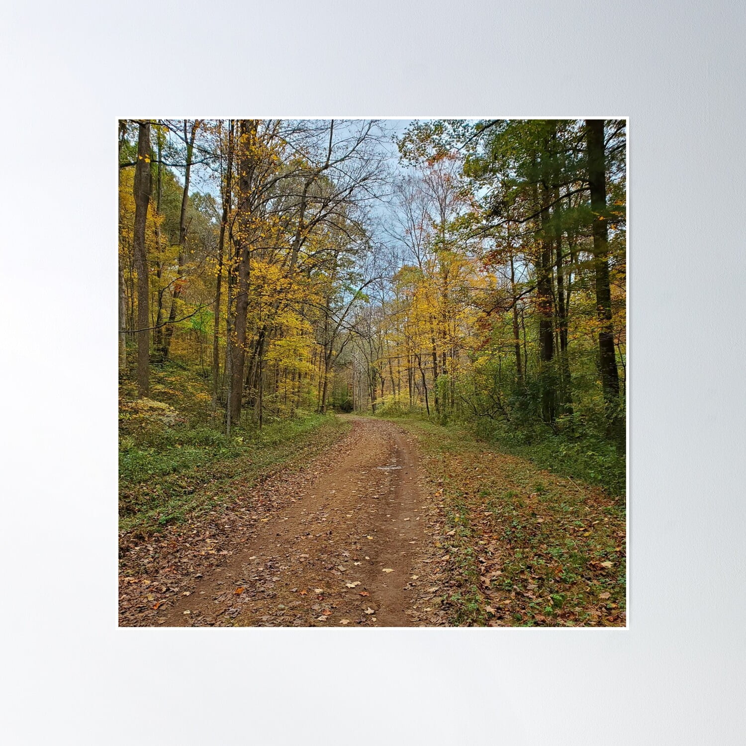Leaf-Covered Trail Through Colorful Autumn Forest Poster Wall Art ...