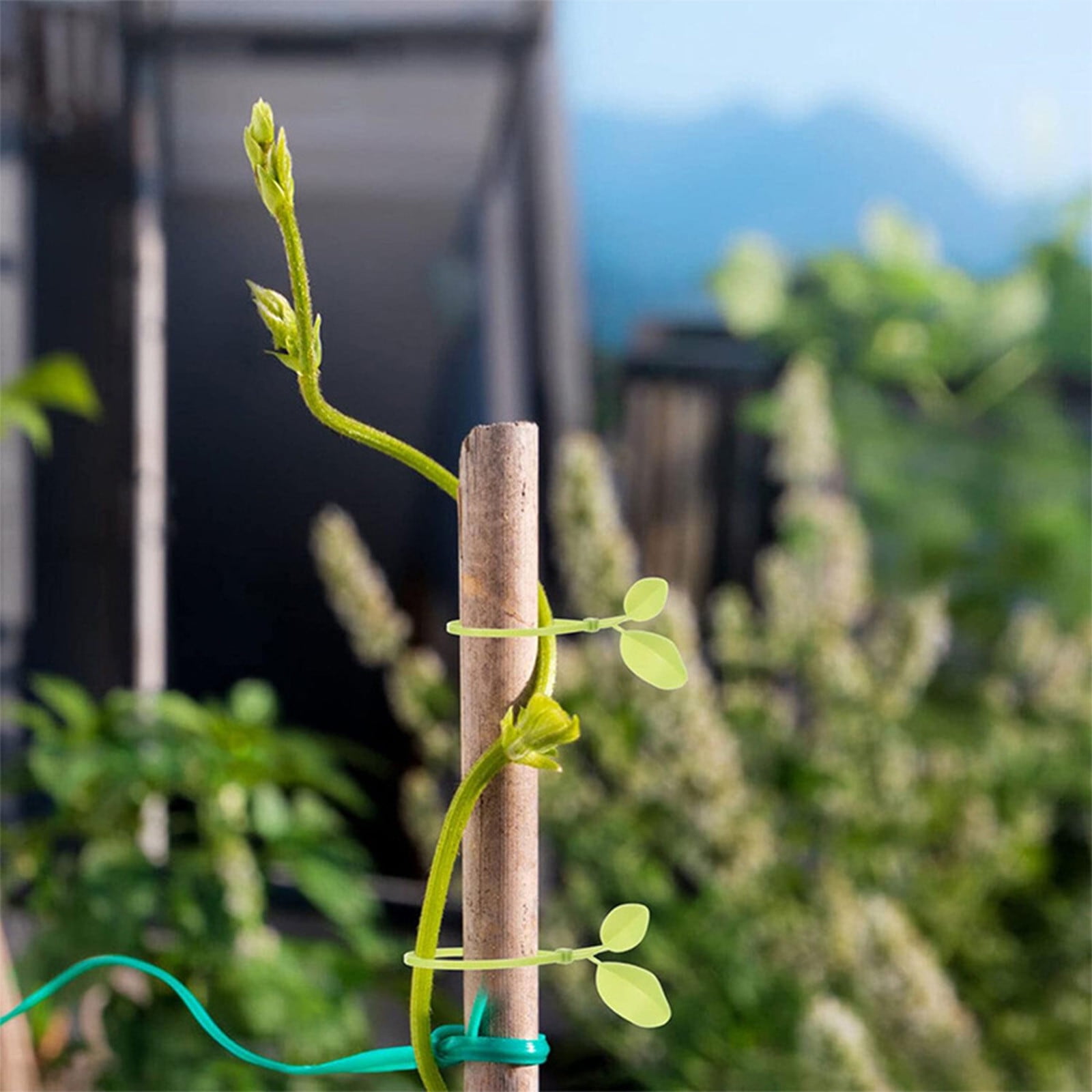 Leaf Shaped Nylon Cable Ties for Plants, Locking Green Plant Ties ...