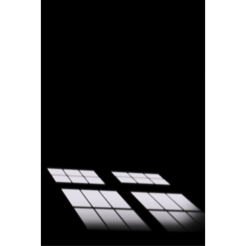 Leaf Window Shadow Sunshine Photography Backdrops Wedding Portrait ...