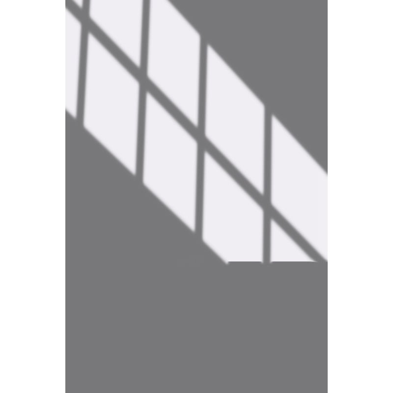 Leaf Window Shadow Sunshine Photography Backdrops Wedding Portrait ...