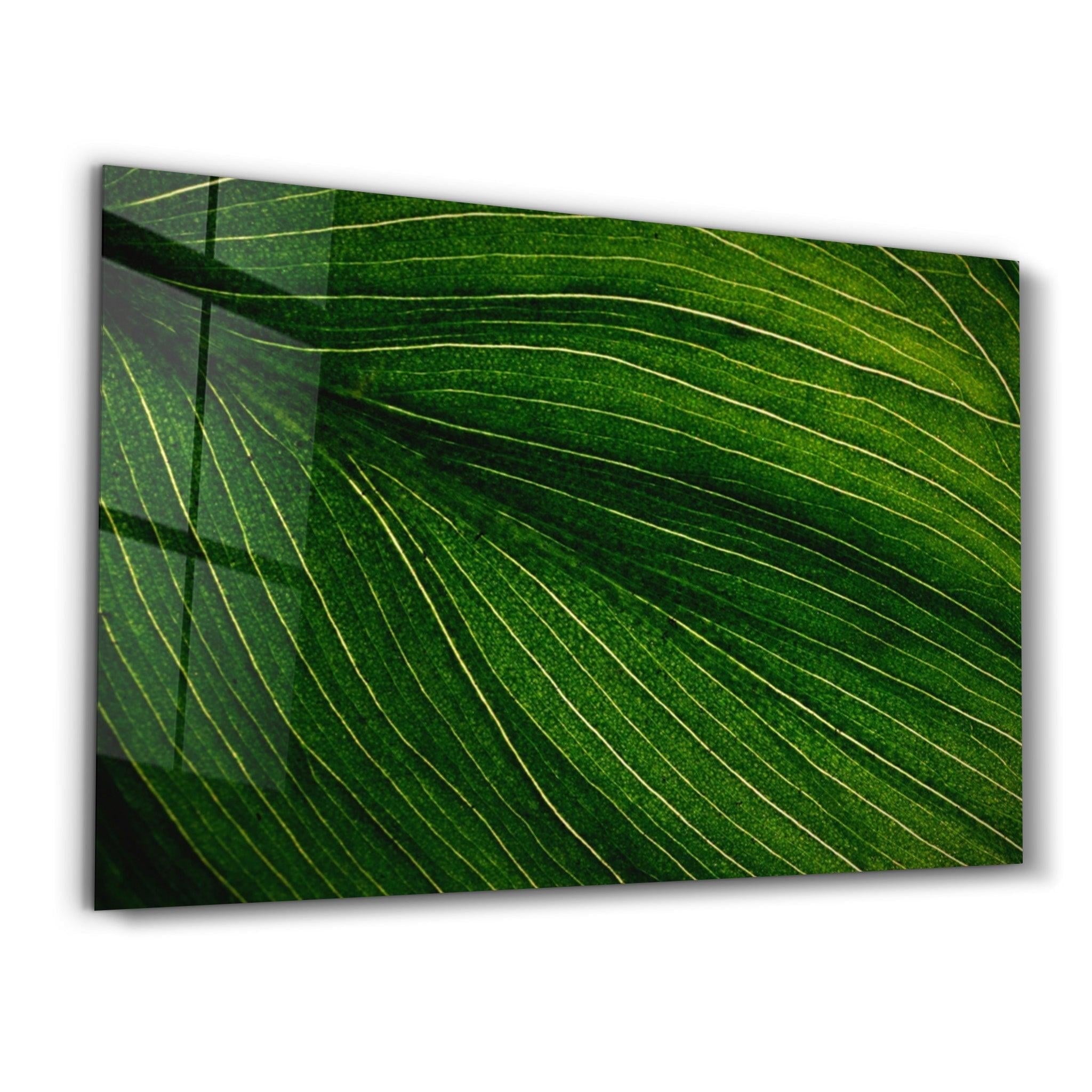Leafa | Glass Wall Art - Walmart.com