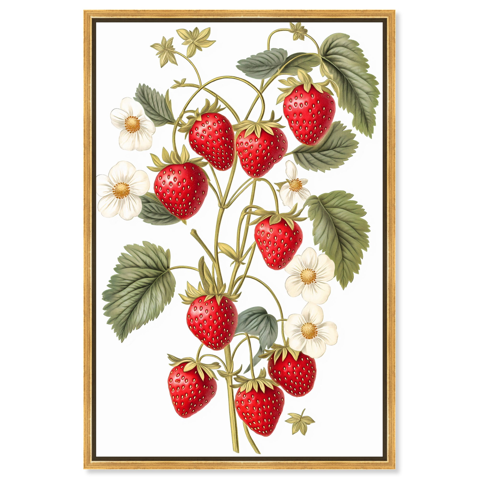 Leafed Berry Canvas Vintage Prints by Art Remedy, Gold Frame, 20" x 30 ...