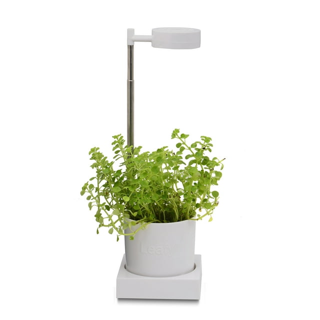 Indoor Complete Hydroponics Kit with Leafy Desktop Grow Light System ...