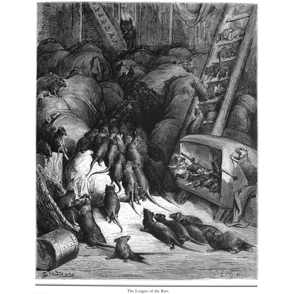 League Of Rats 1868. Nwood Engraving After Gustave Dor For An 1868 Edition Of The Fables Of Jean ...