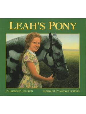 Leah's Pony - Walmart.com