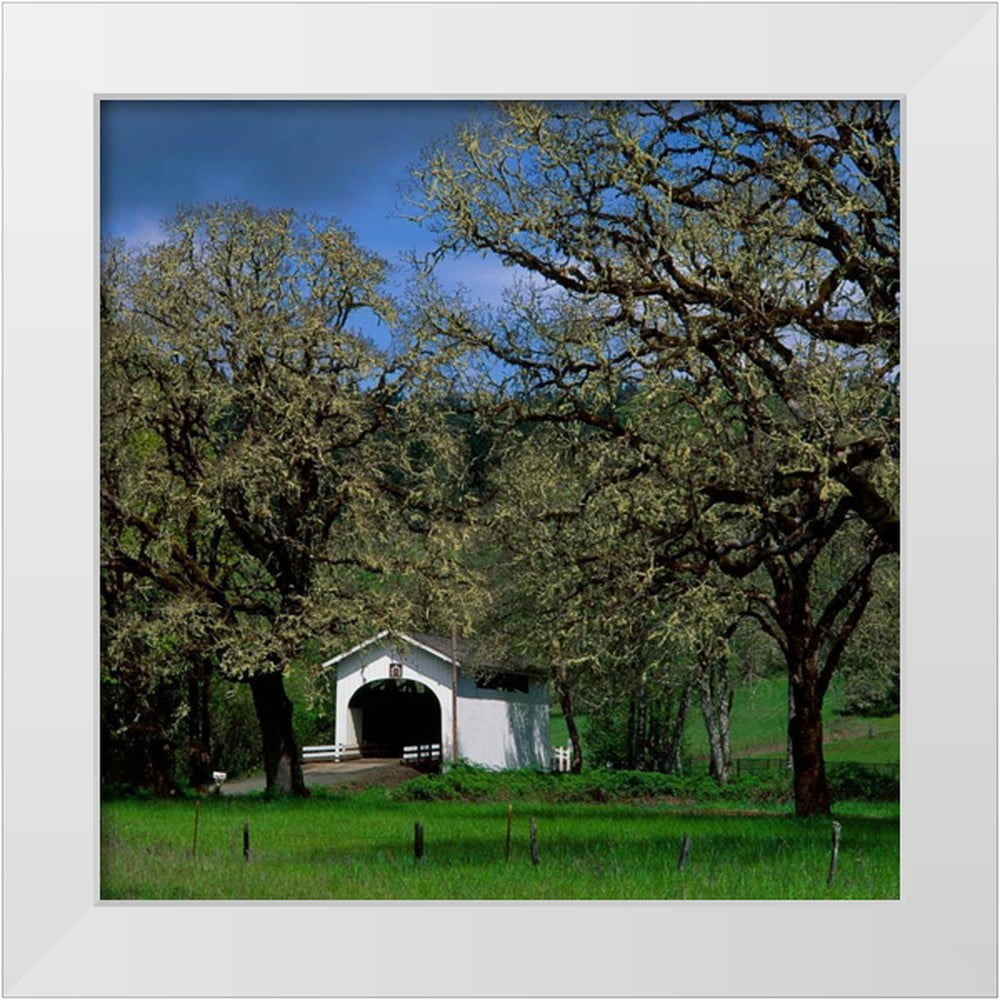 Leahy, Ike 12x12 White Modern Wood Framed Museum Art Print Titled ...