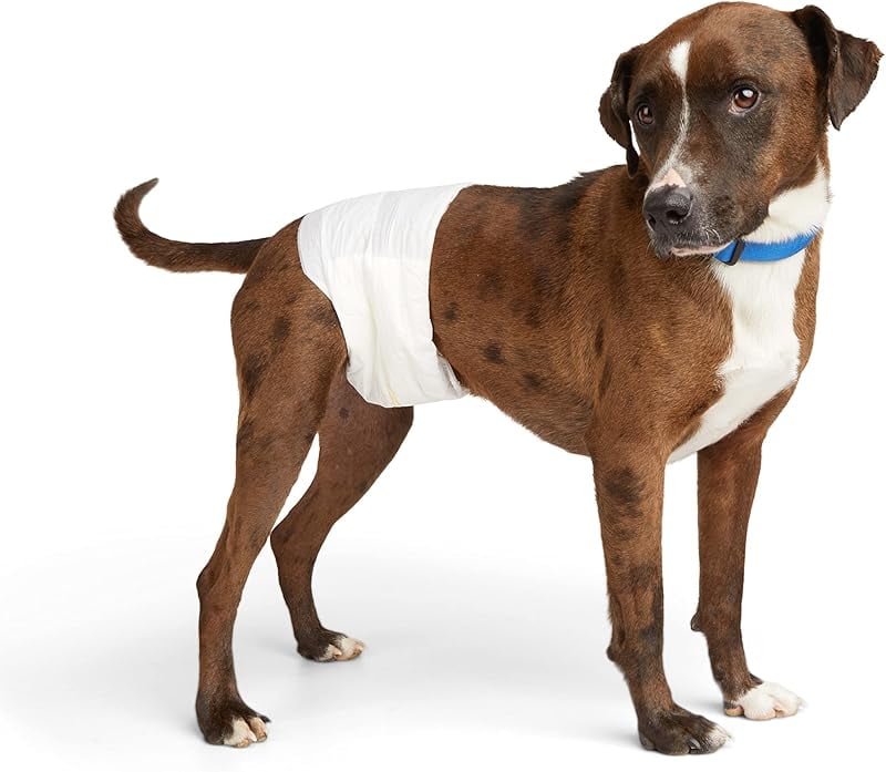 Leak Guard Disposable Wrap for Male Dogs Medium Count of 12 - Walmart.com