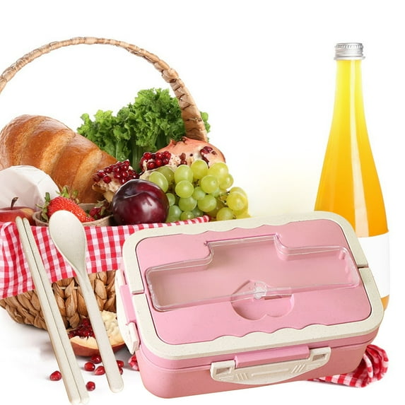 Leakproof Lunch Box with Lid | Portable Food Storage Container for ...