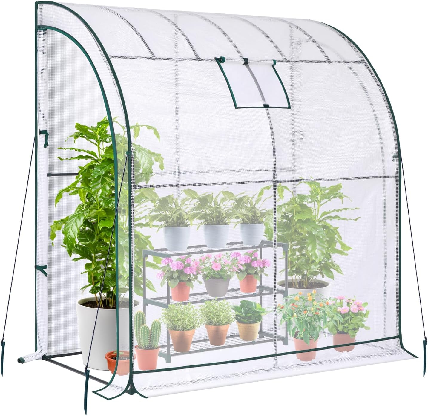 Lean to Greenhouse with 3-Tier Shelves: Portable Walk-in Wall Mounted ...