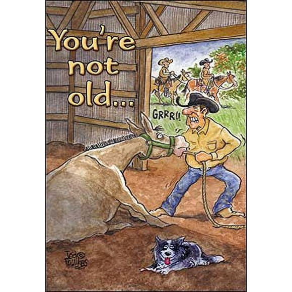 Leanin' Tree Birthday Cards in Greeting Cards - Walmart.com