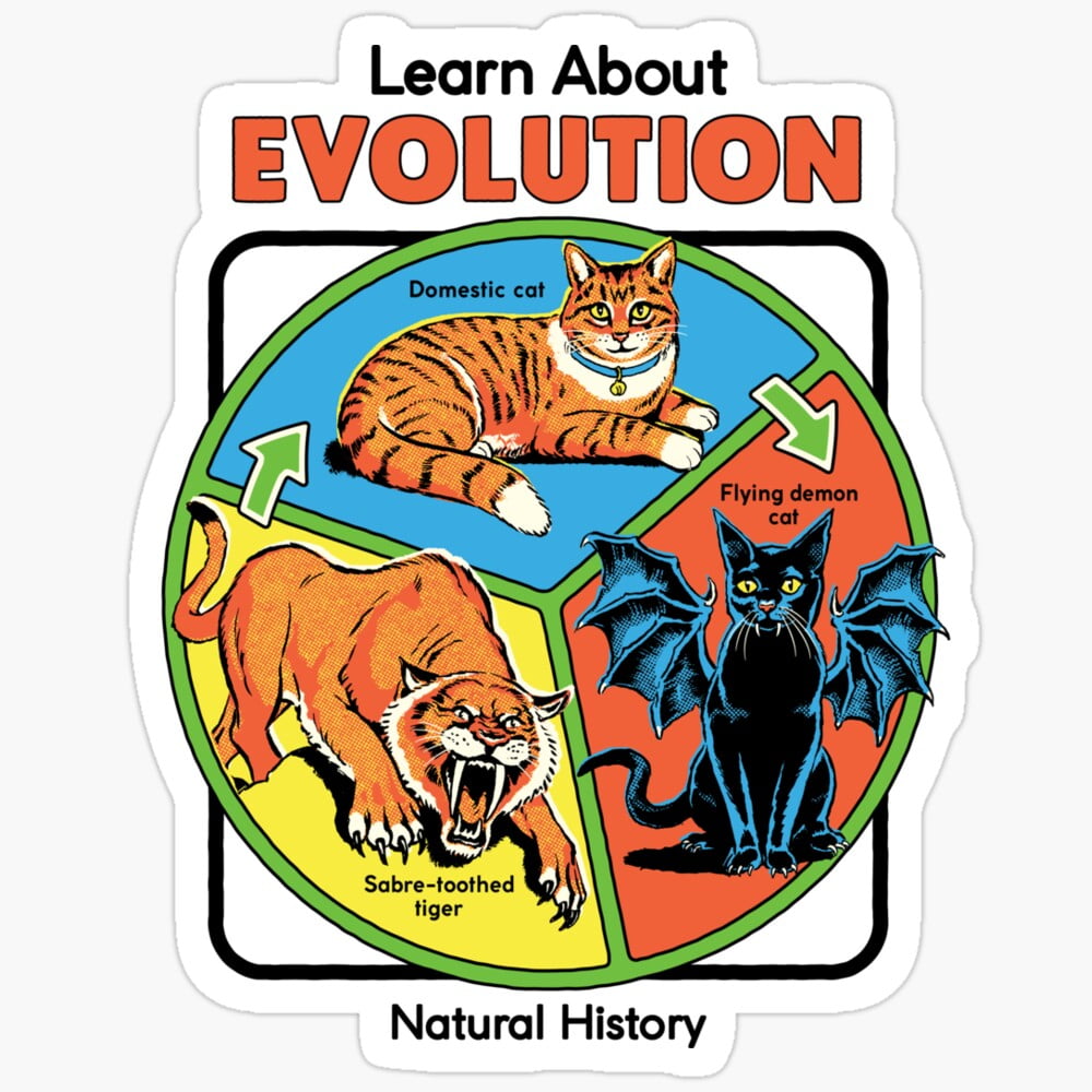 Learn About Evolution Sticker Phone Decal Water Bottle Stickers Car ...