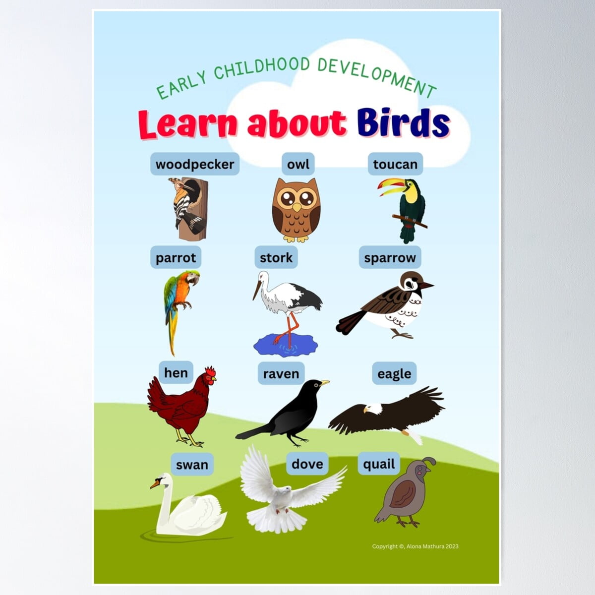 Learn About Birds Classroom Poster/Chart & Other School/Home Learning ...