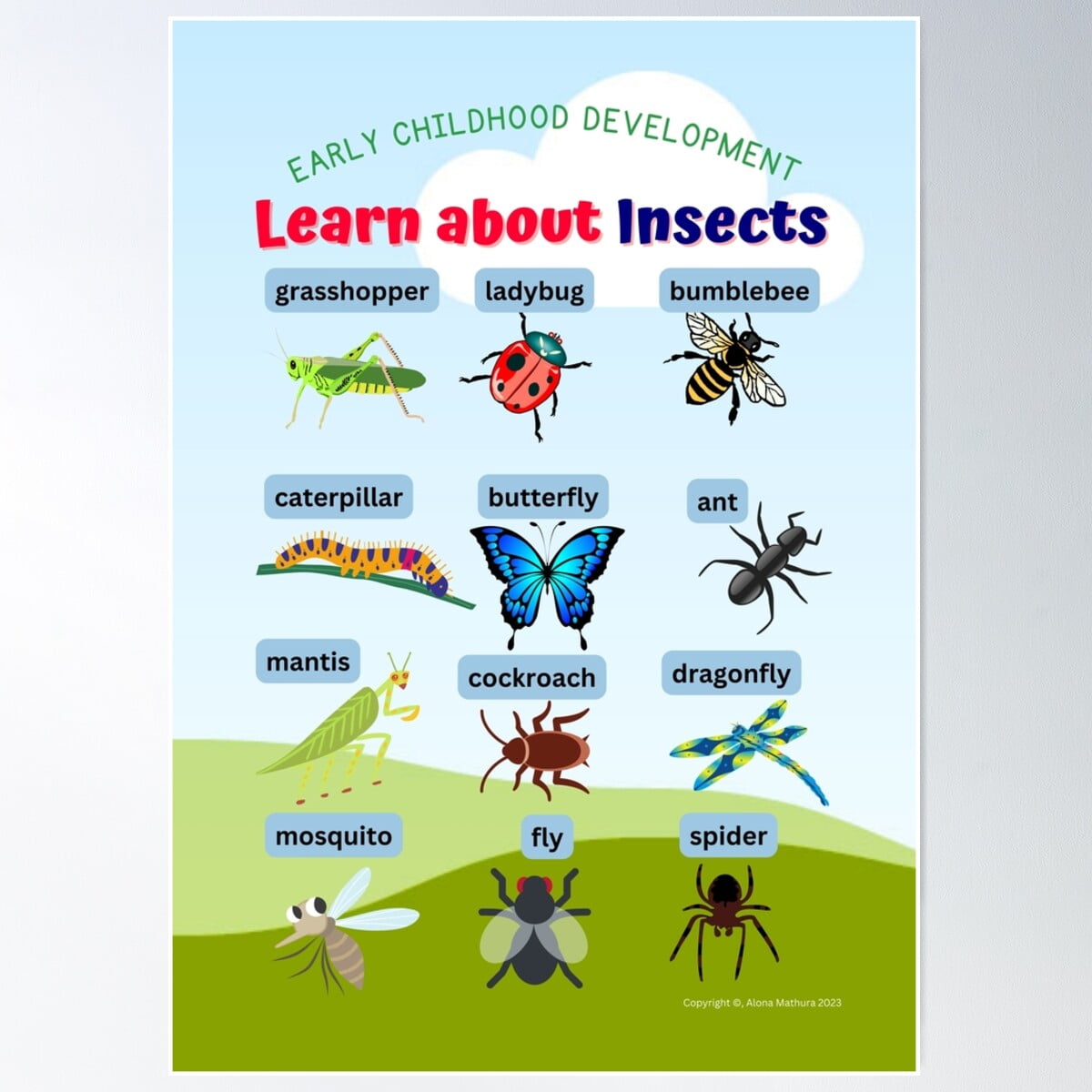 Learn About Insects Classroom Poster/Chart & Other School/Home Learning ...