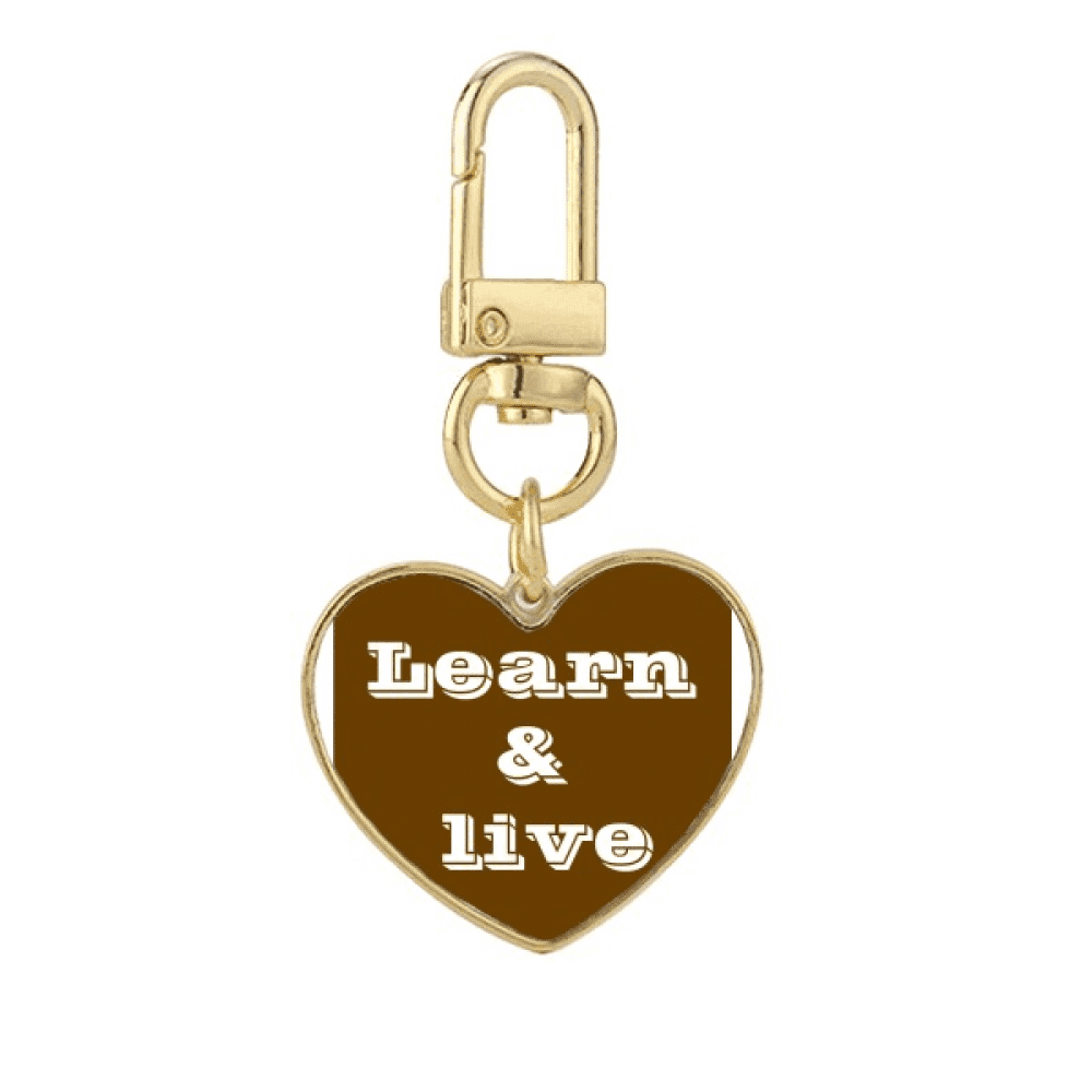 Learn Life Unified Coordinate Gold Heart Keychain Metal Keyring Holder ...