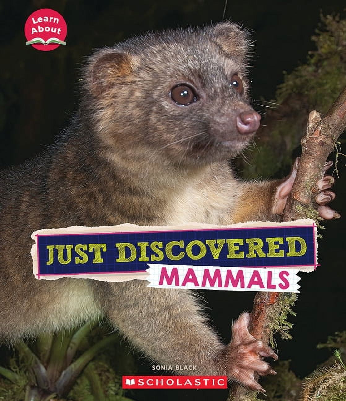 Learn about Just Discovered Mammals (Learn About: Animals), (Hardcover ...