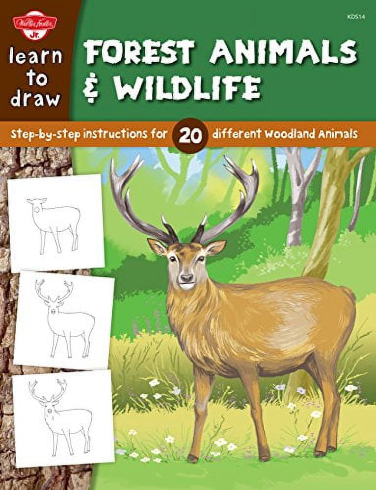 Pre-Owned Learn to Draw Forest Animals & Wildlife: Step-by-step ...