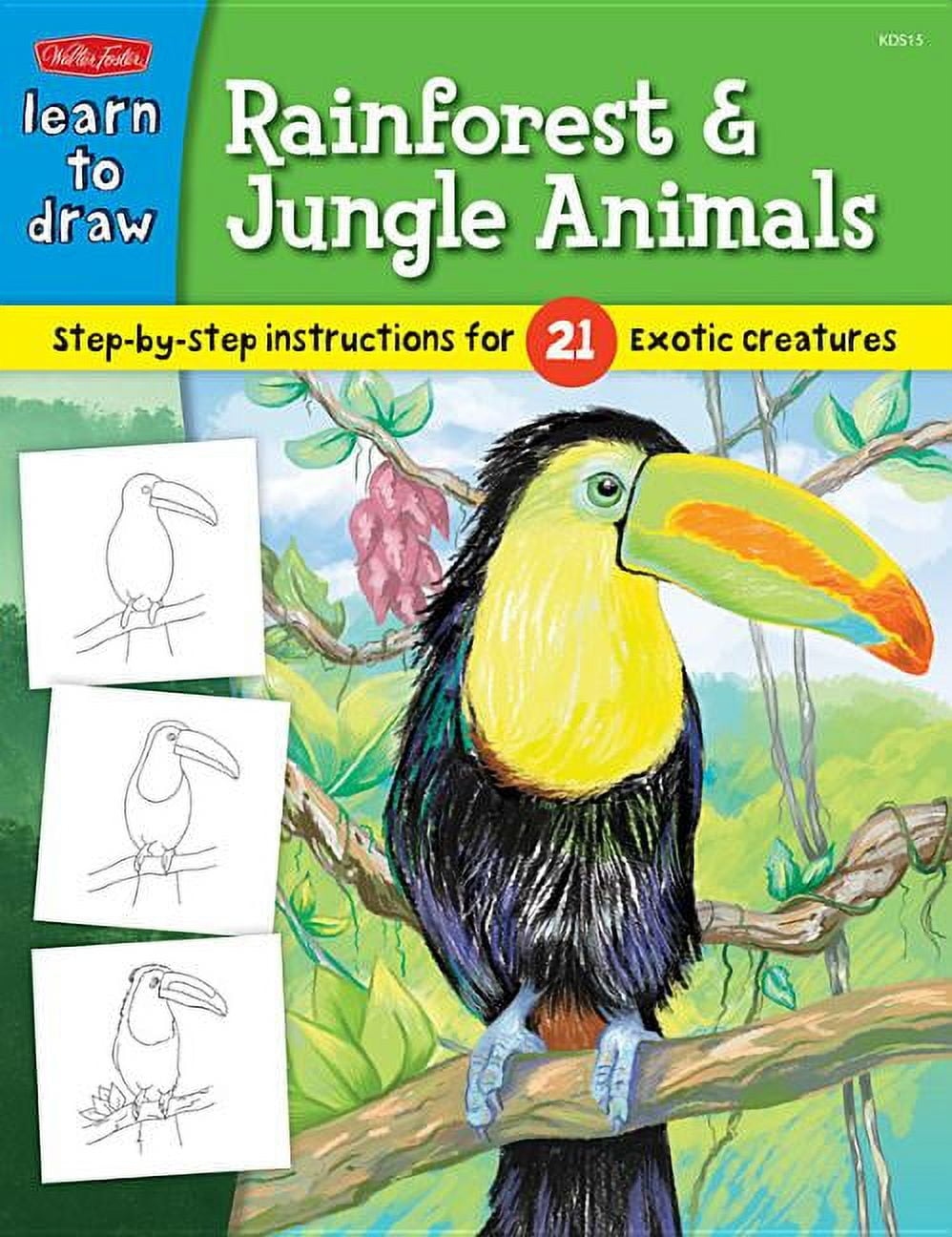 Rainforest Animal Drawing