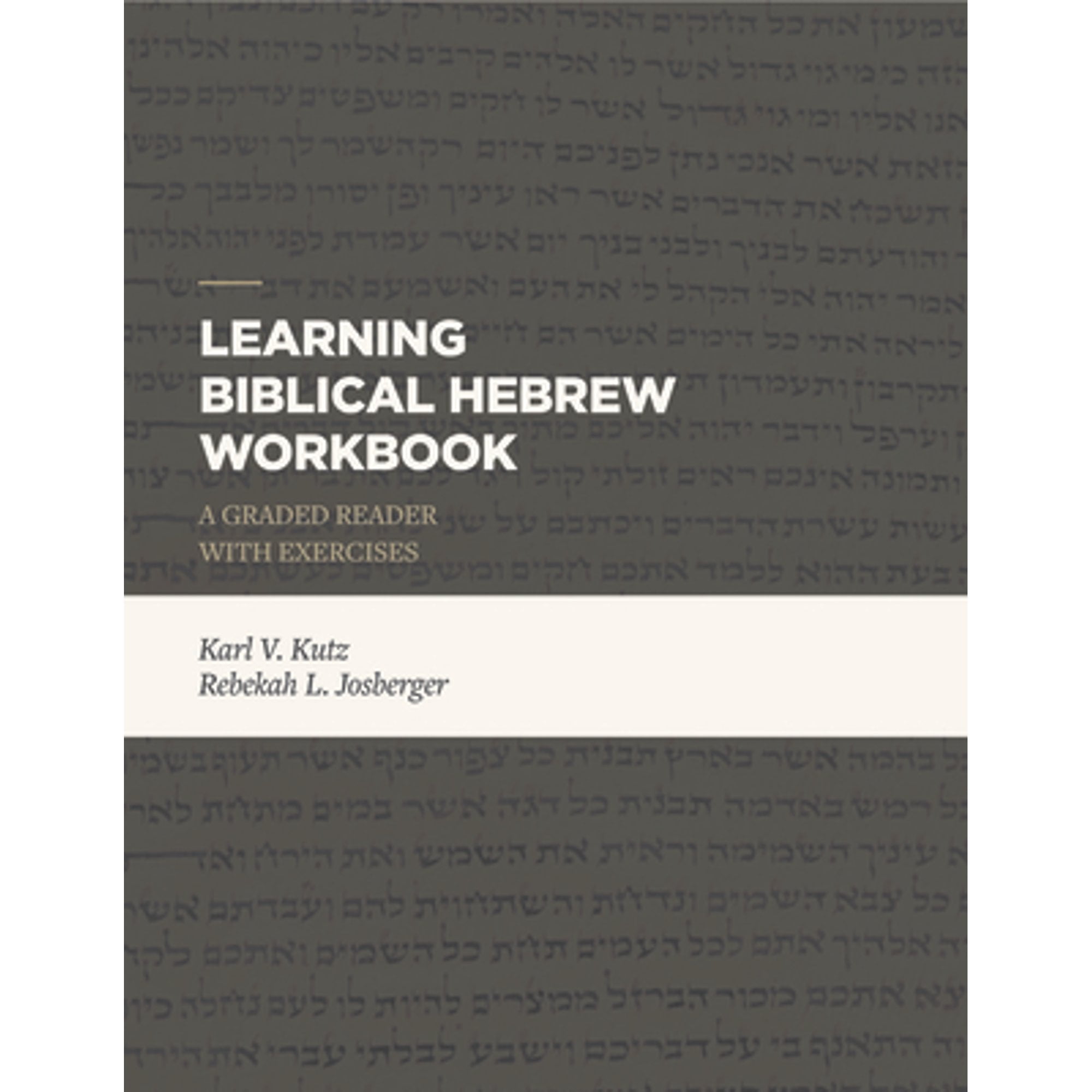 Pre-Owned Learning Biblical Hebrew Workbook: A Graded Reader with ...