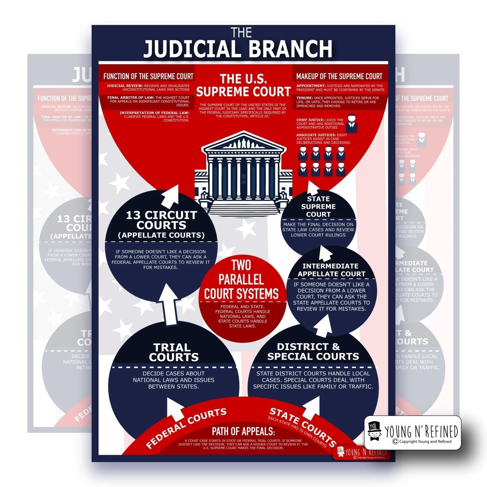 Learning Judicial Branch chart LAMINATED poster for classroom clear ...