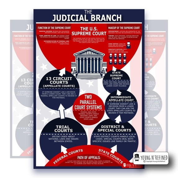 Learning Judicial Branch chart LAMINATED poster for classroom clear ...