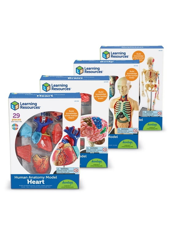 Anatomy Toys for Kids in STEM Toys - Walmart.com