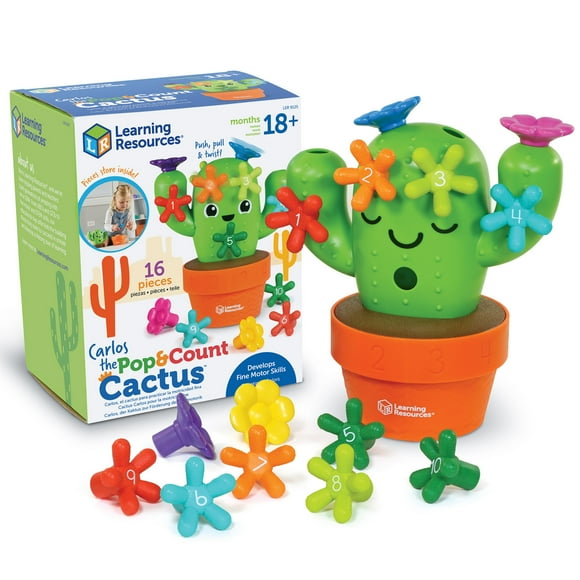 Talking Cactus Toy